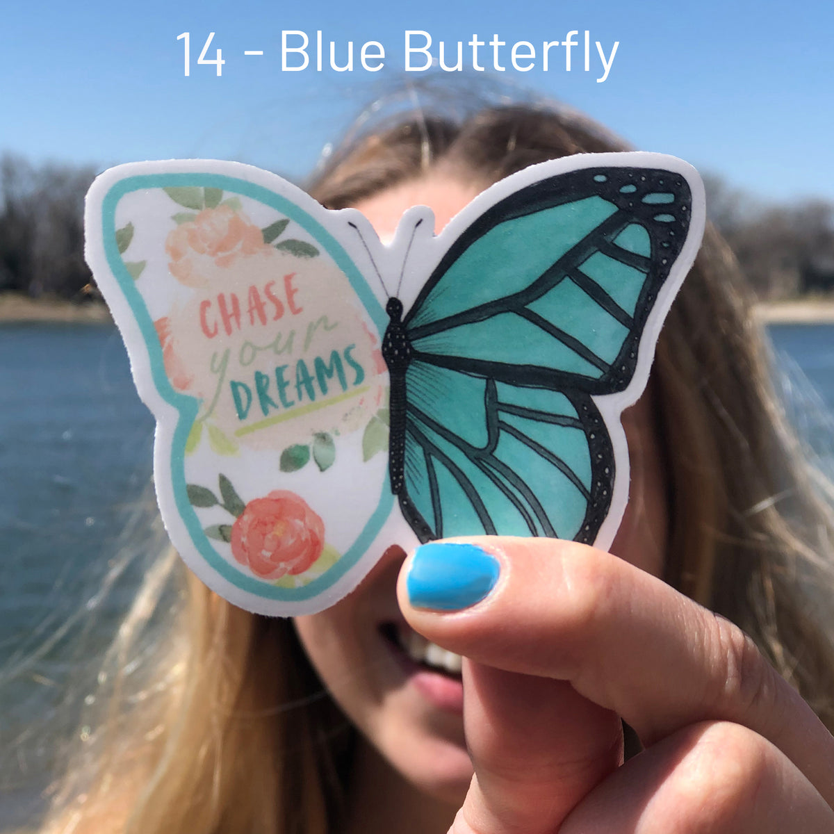 Blue Butterfly Chase Your Dreams Sticker – Scenic Route Design Co.